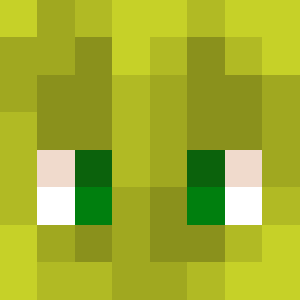 NotNotBrock Minecraft Skin History — SkinMC